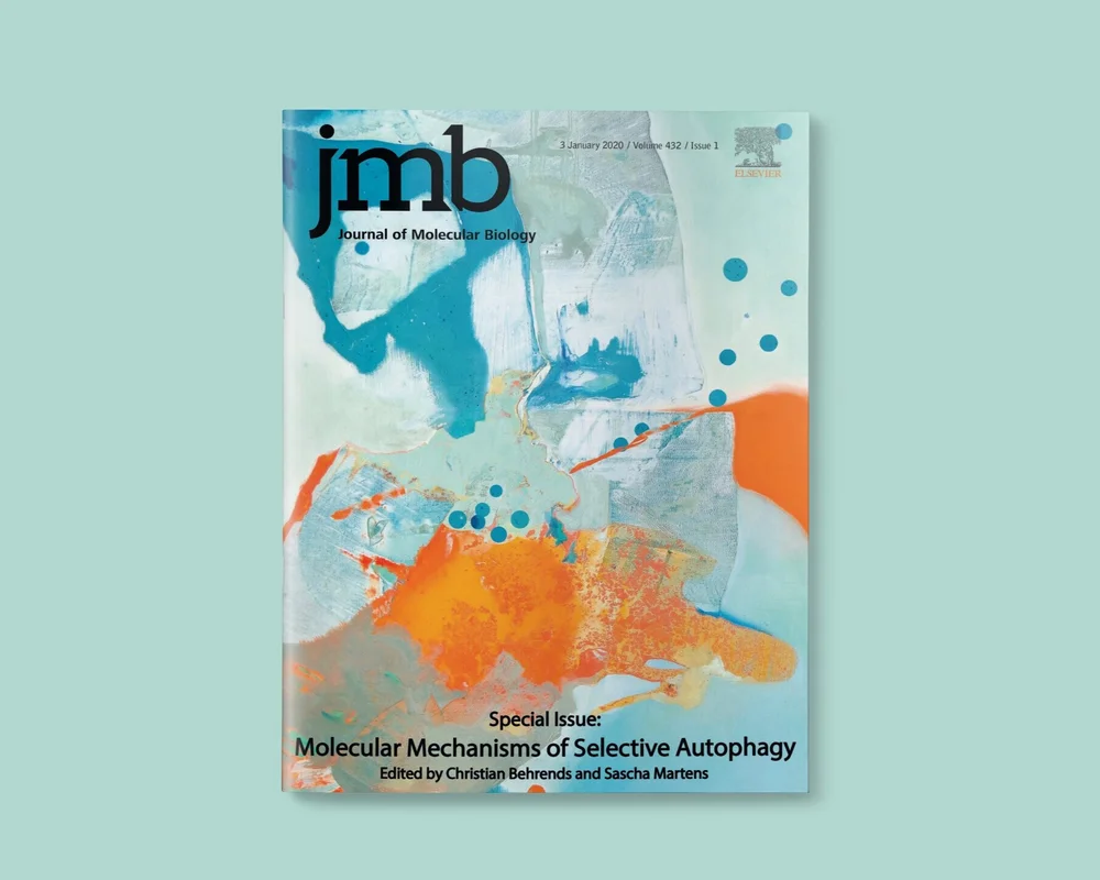 JMB Journal — Readykakao