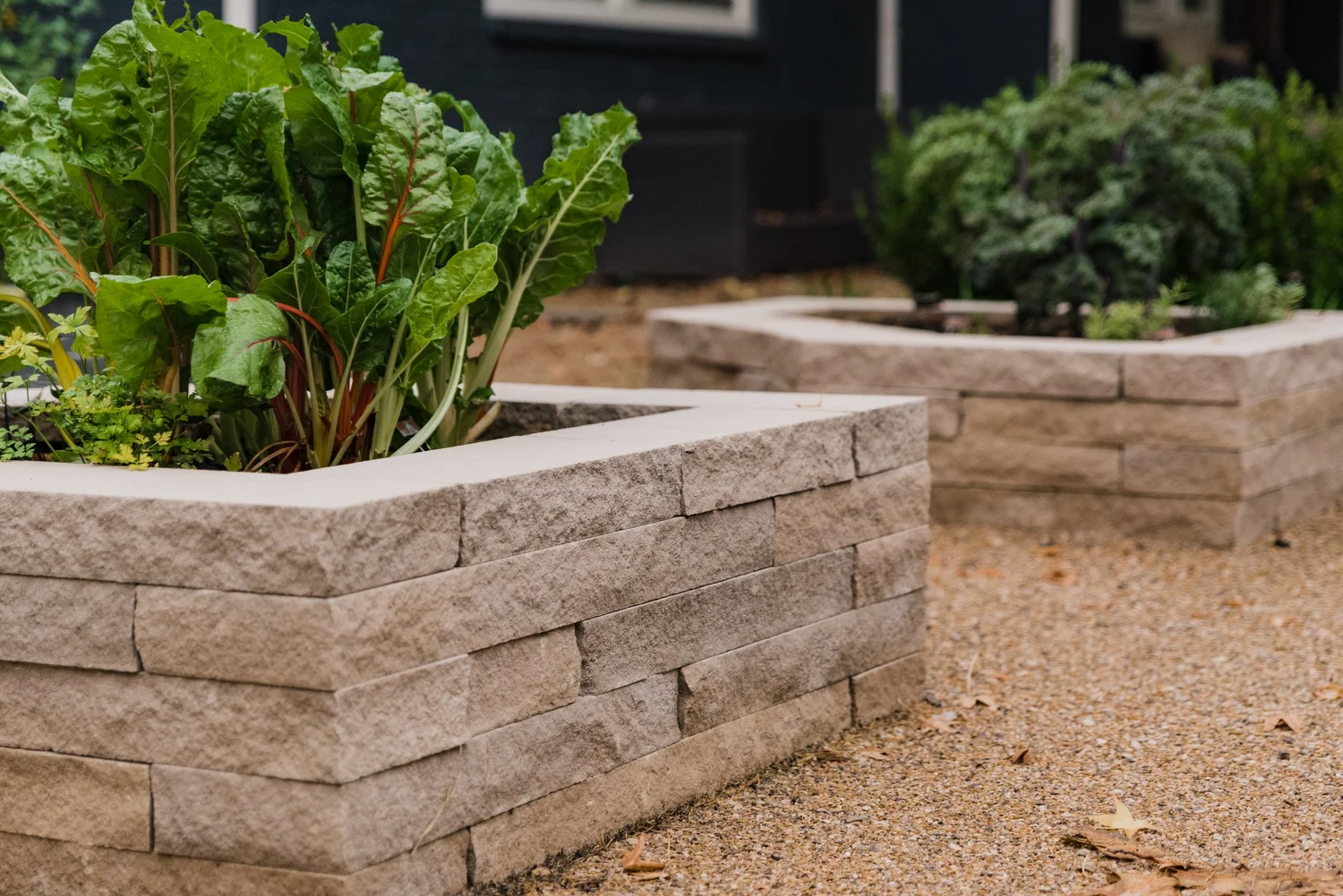 Formal Potager Kitchen Gardens — Seed & Vine