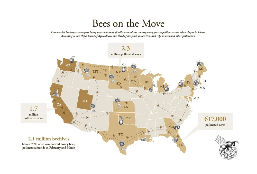The Role of Honey Bees in Pollination: A Crucial Contributor to ...