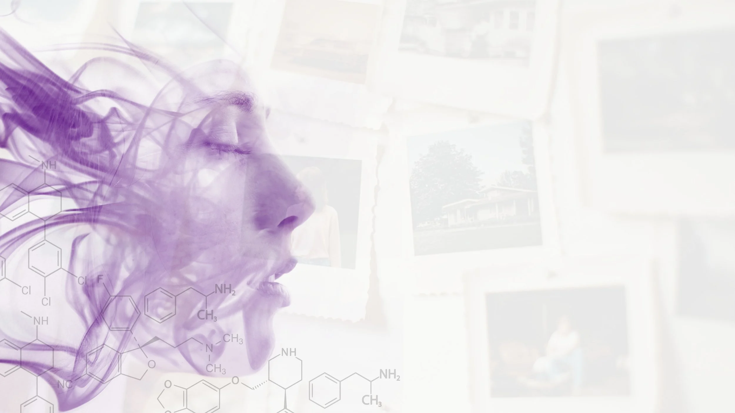 Next to Normal — Iron Crow Theatre