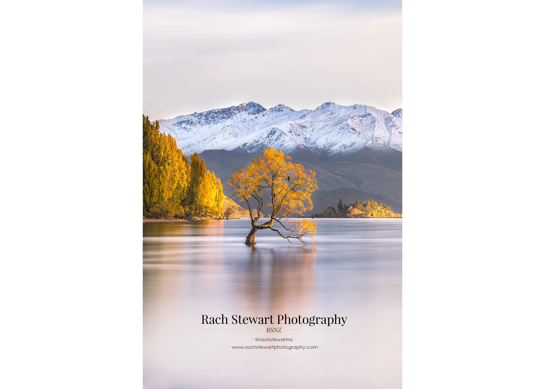 Wanaka Tree Autumn Sunrise (Portrait) | New Zealand Landscape ...