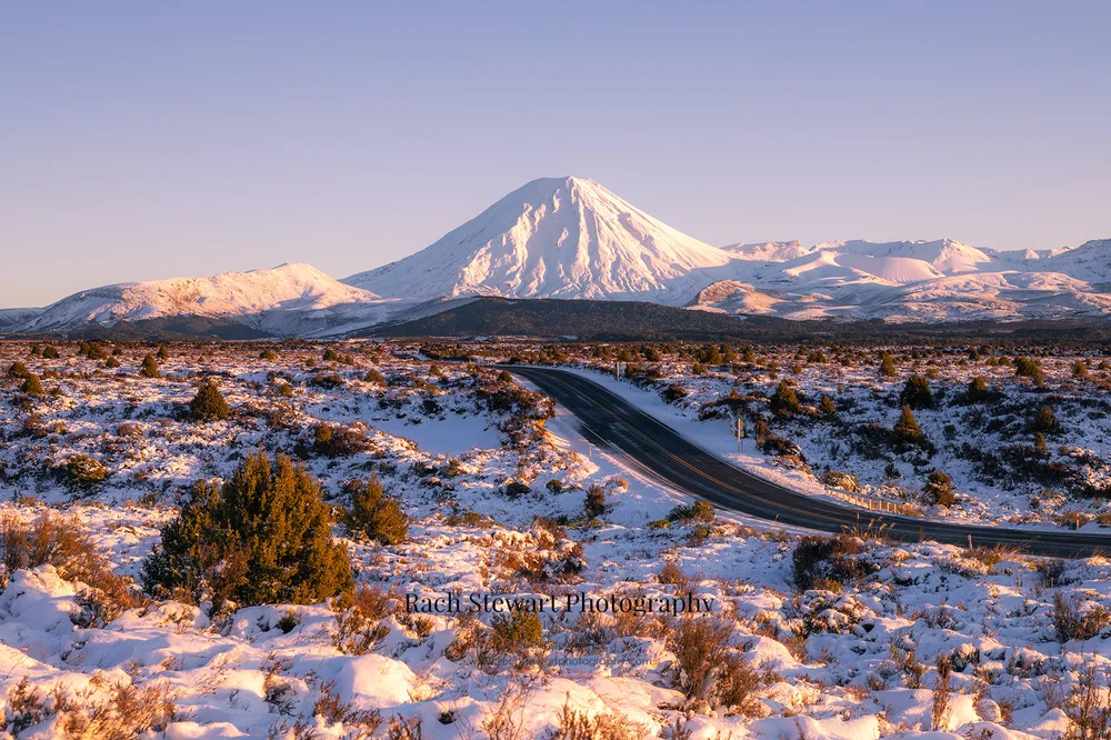 New Zealand Desert