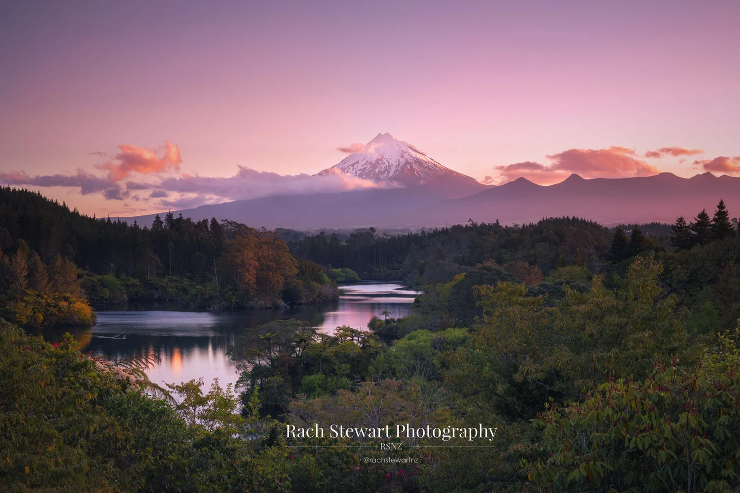 Mount Taranaki Sunset Cabbage Tree | New Zealand Landscape Photography ...
