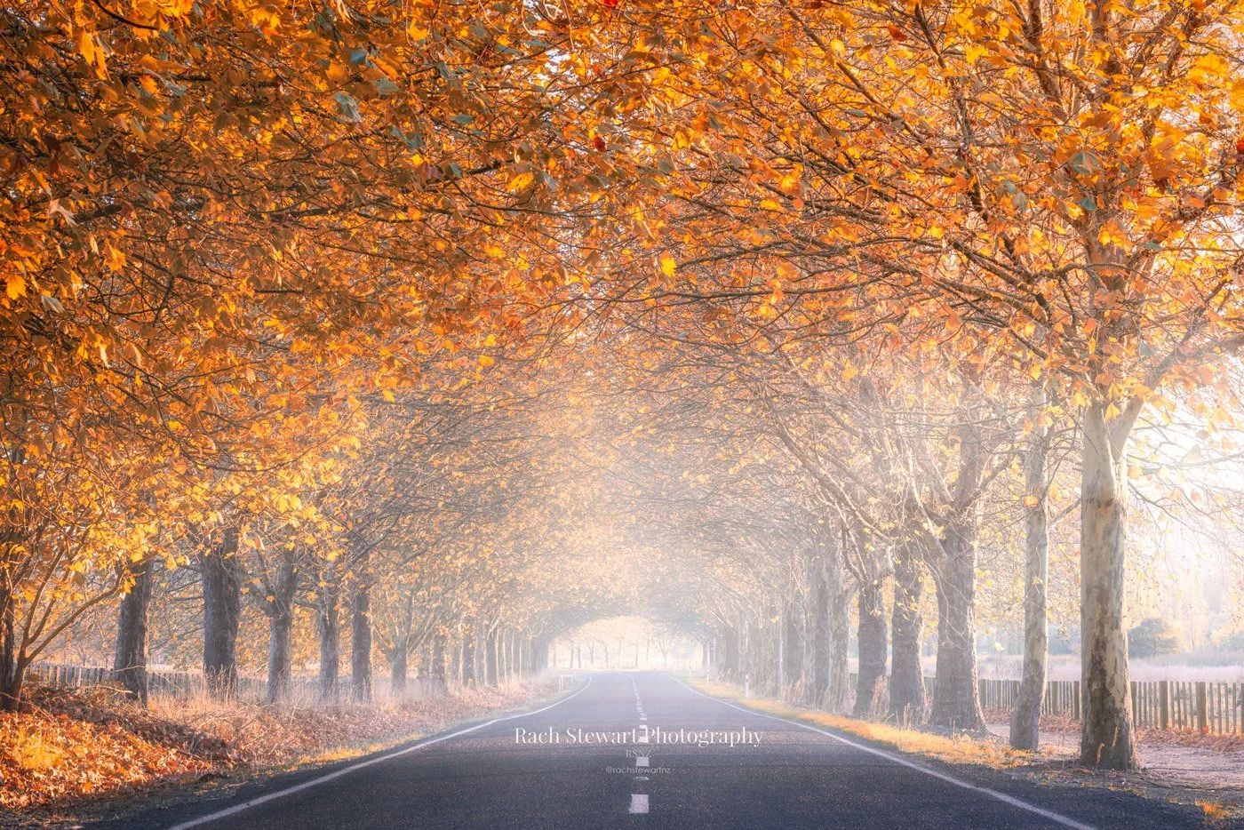Waimarama Beach sunset | New Zealand Landscape Photography | NZ Photo ...