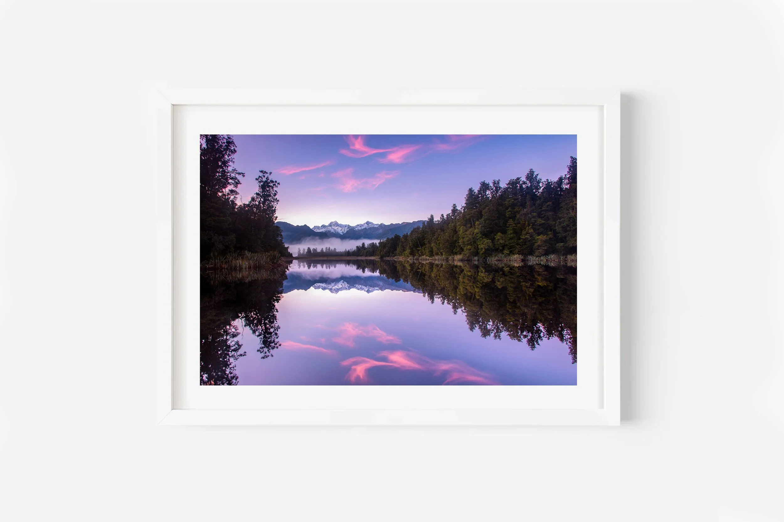 West Coast Cedar | New Zealand Landscape Photography | NZ Photo Prints