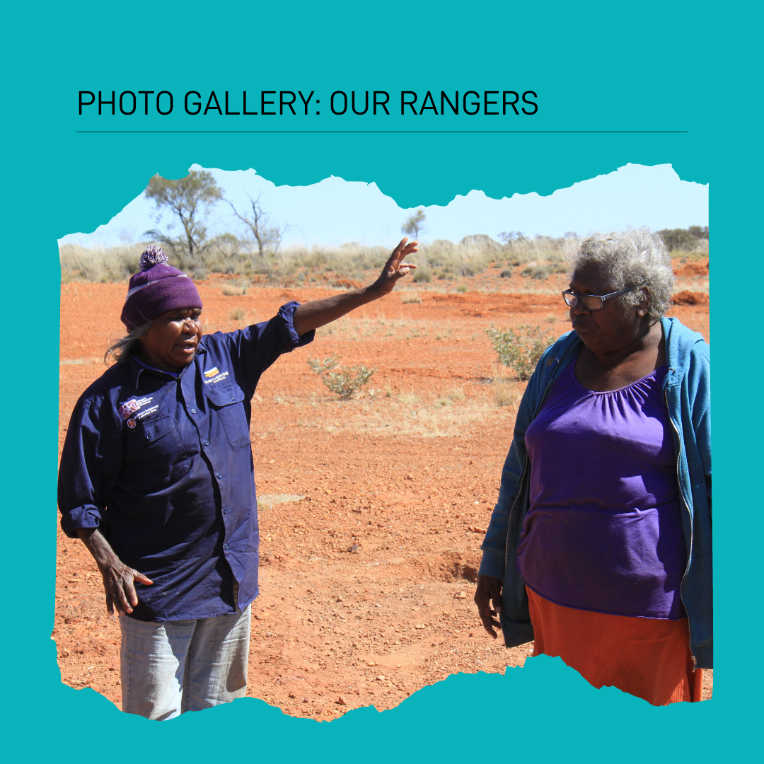 Photo Gallery — Tarlka Matuwa Piarku Aboriginal Corporation