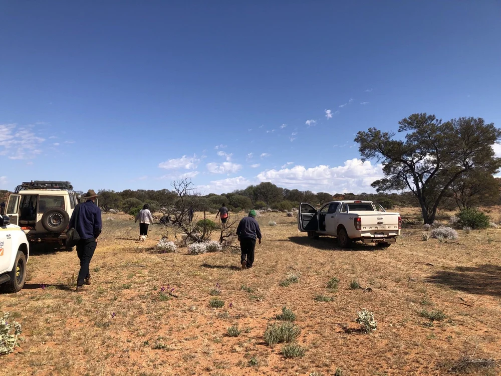 Wiluna Native Title — Tarlka Matuwa Piarku Aboriginal Corporation