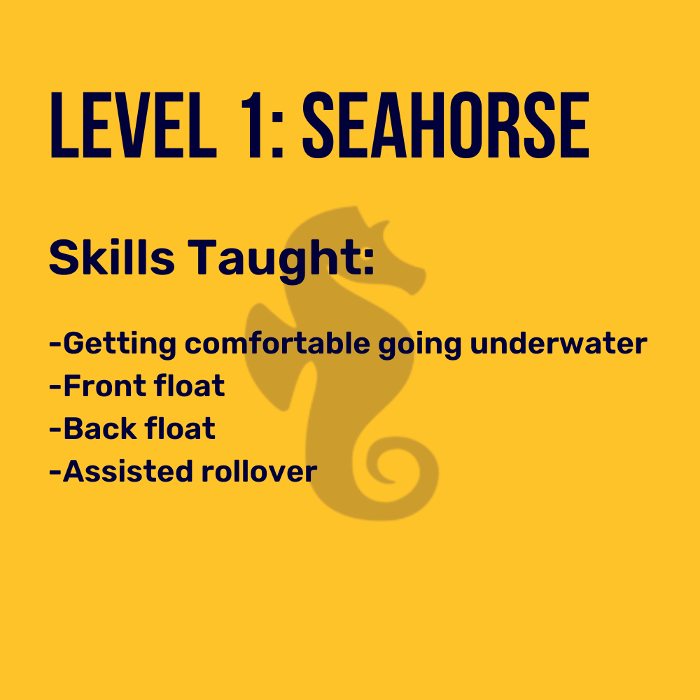 Teaching Method — AC Swim Club