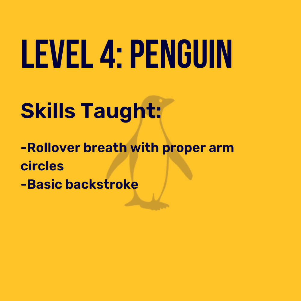 Teaching Method — AC Swim Club