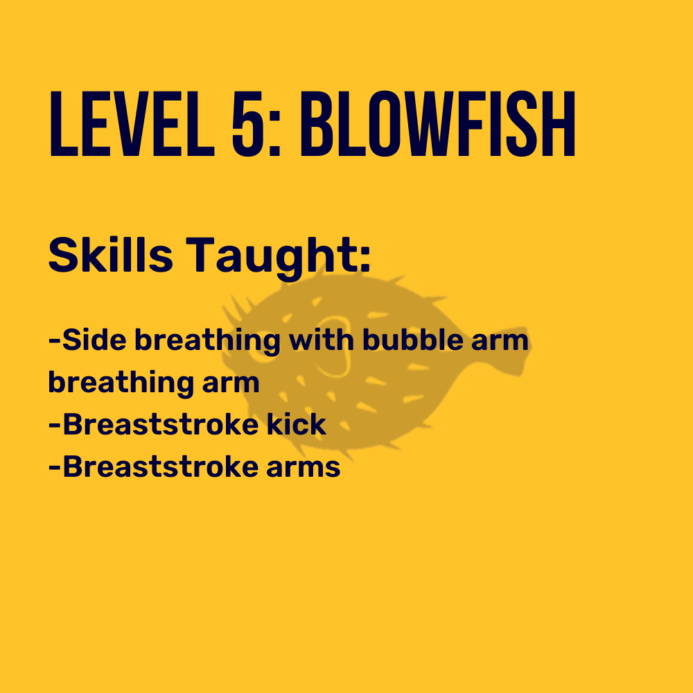 Teaching Method — AC Swim Club