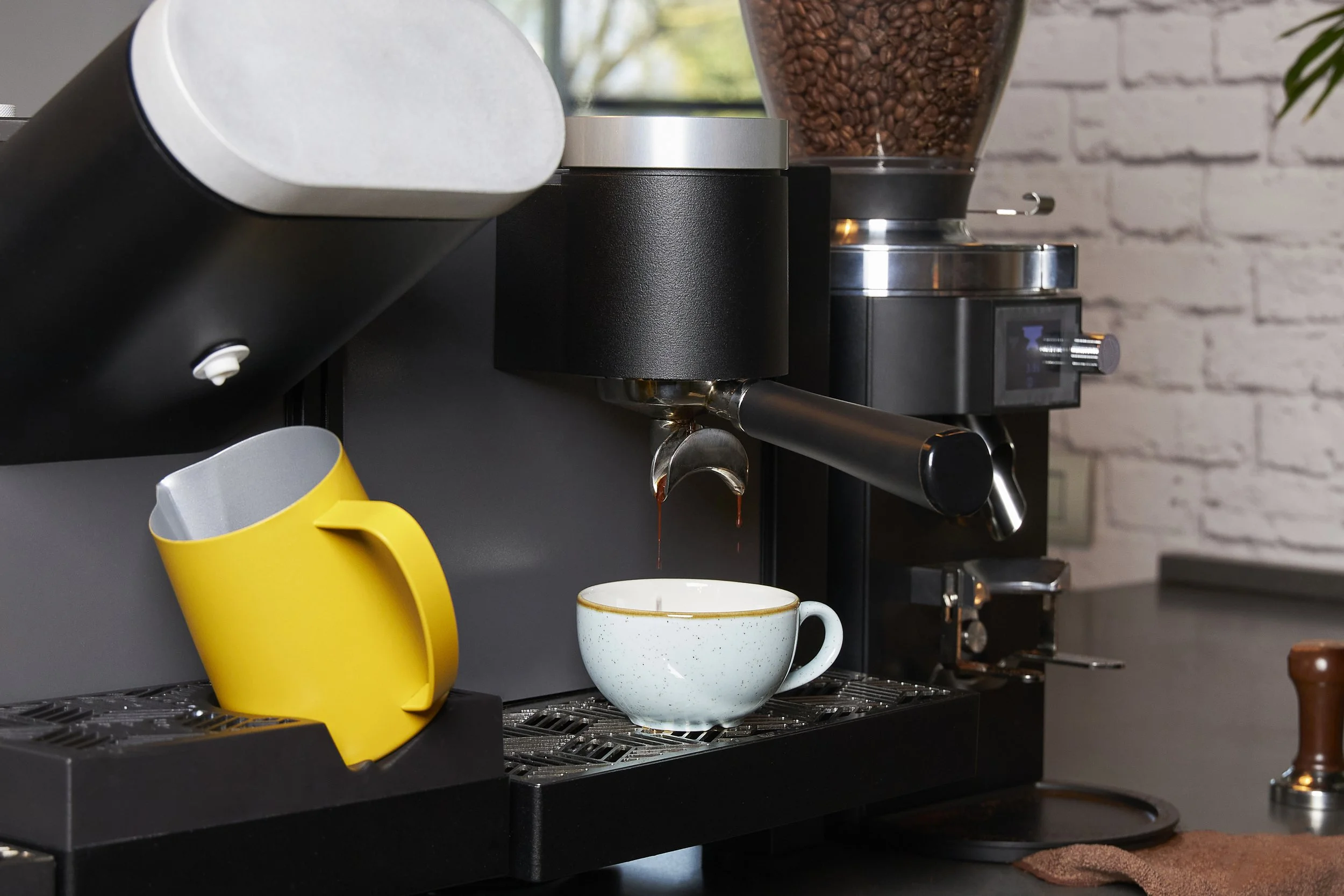 Heylo — Exploradores de café