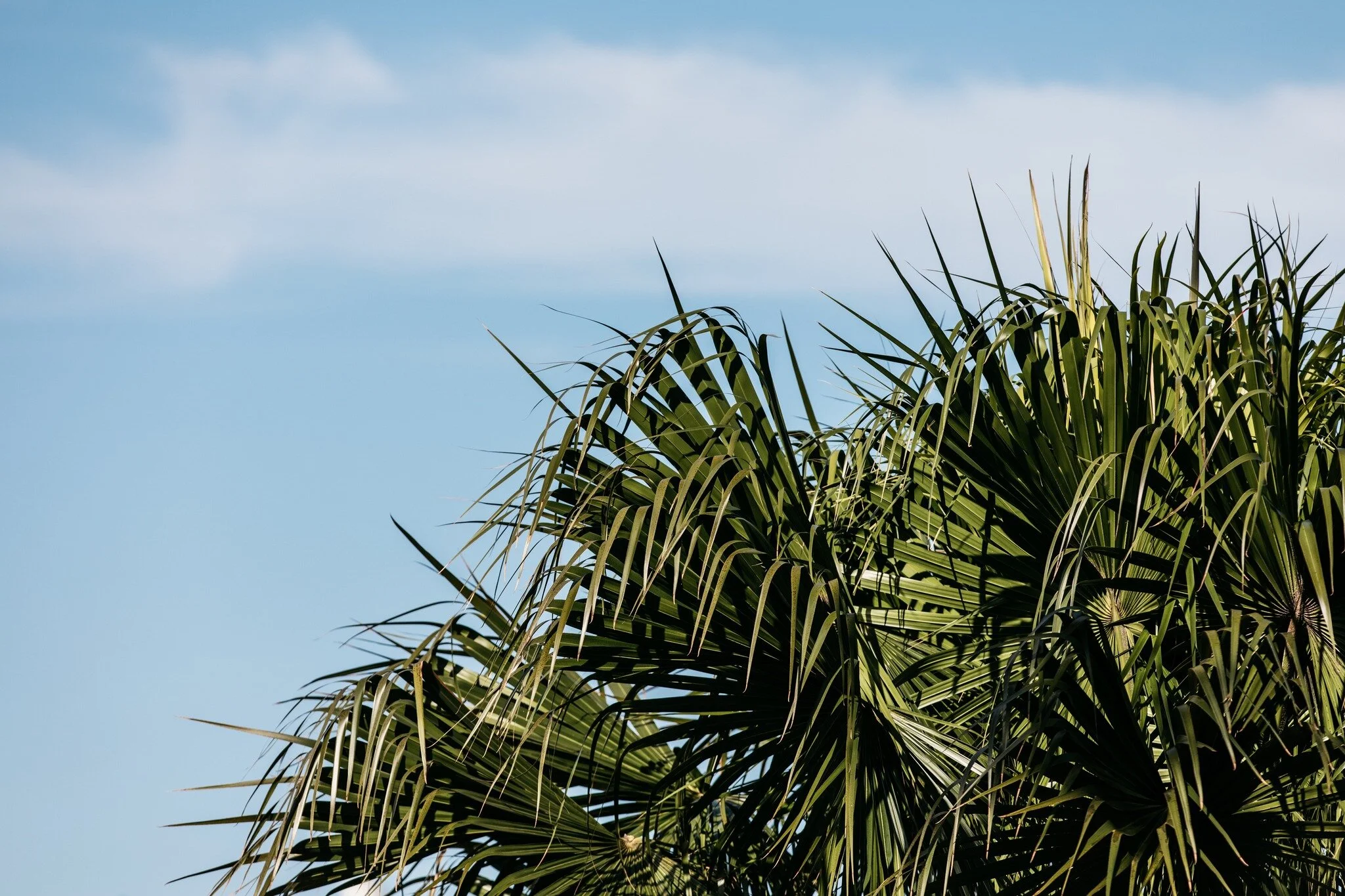 ROSE BAY HOUSE — The Boathouse Rose Bay