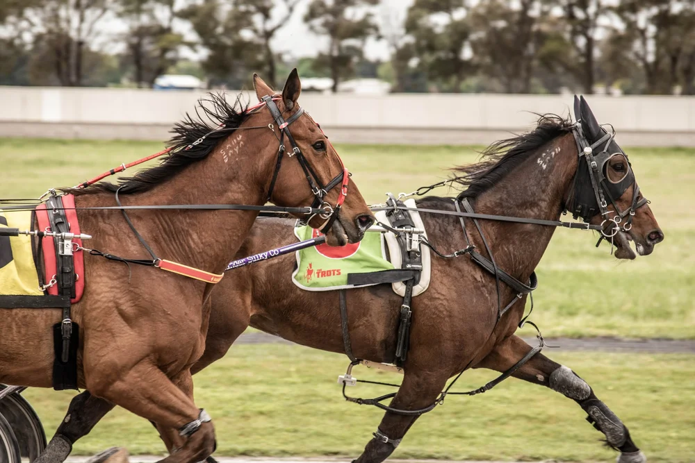 General 2 — Maryborough Harness Racing Club