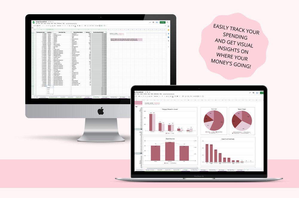 The Budget Pro Spreadsheet — Save Live Thrive