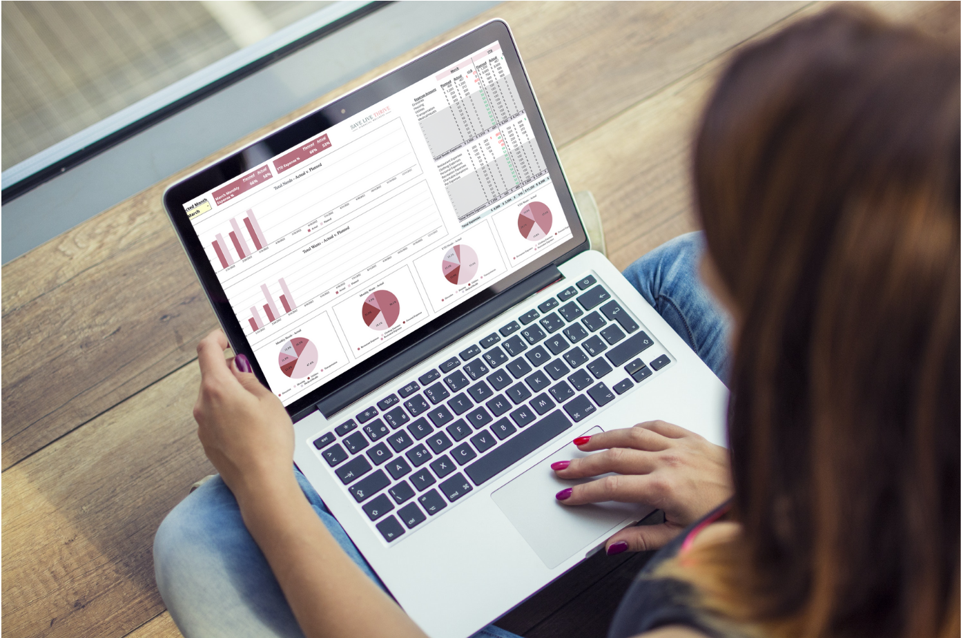 The Budget Pro Spreadsheet — Save Live Thrive