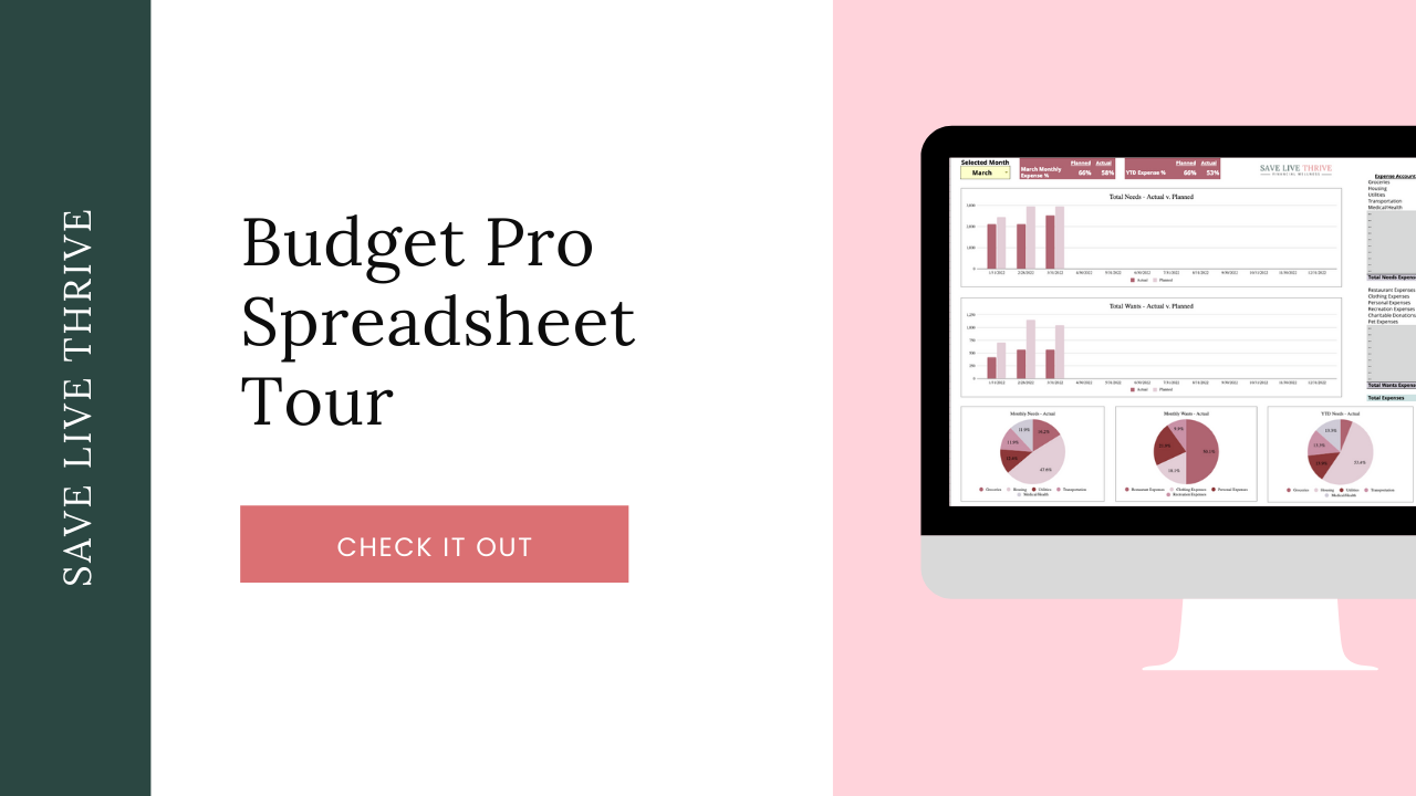 The Budget Pro Spreadsheet — Save Live Thrive