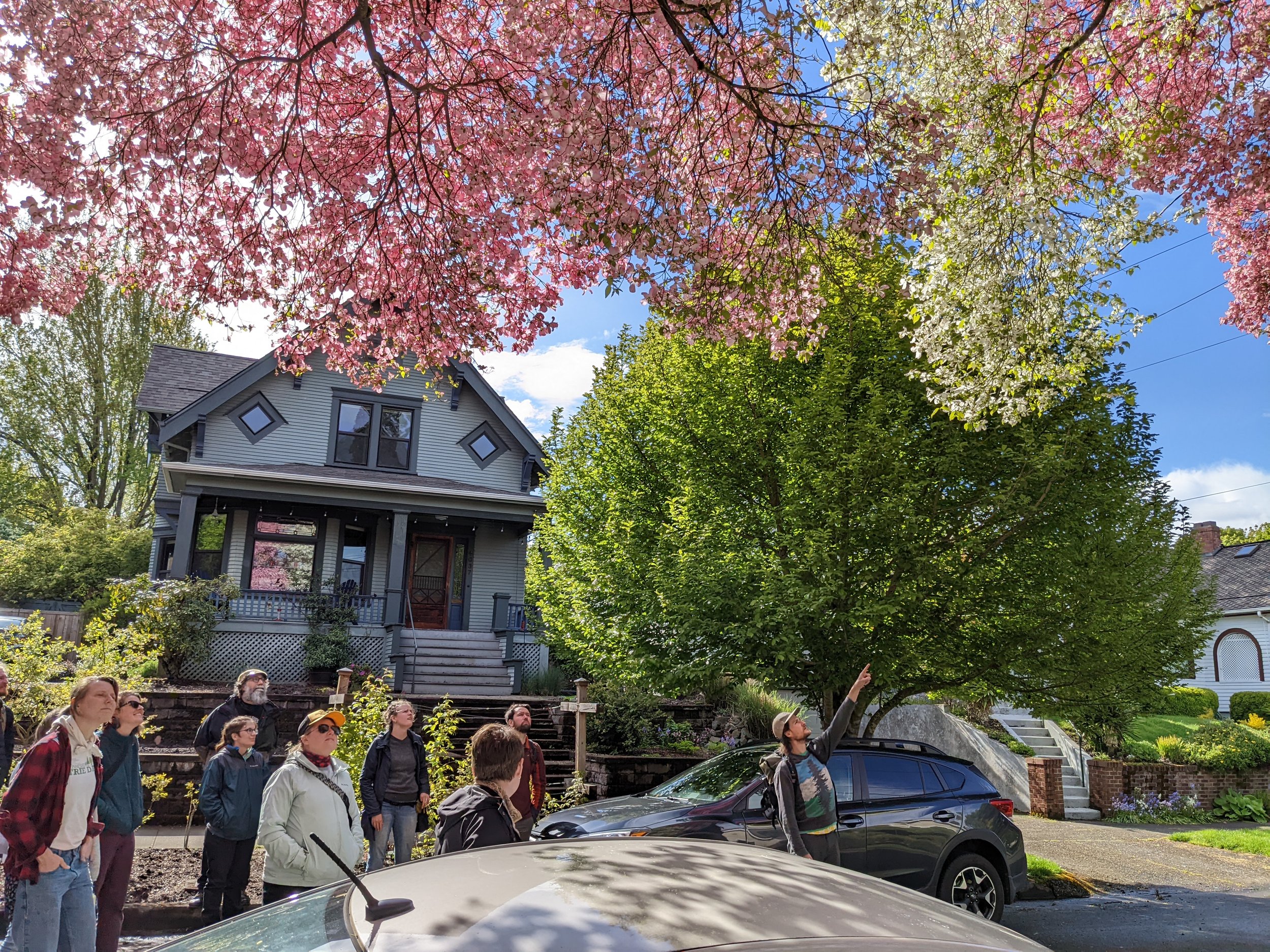 Casey Clapp Arborist — Casey Clapp