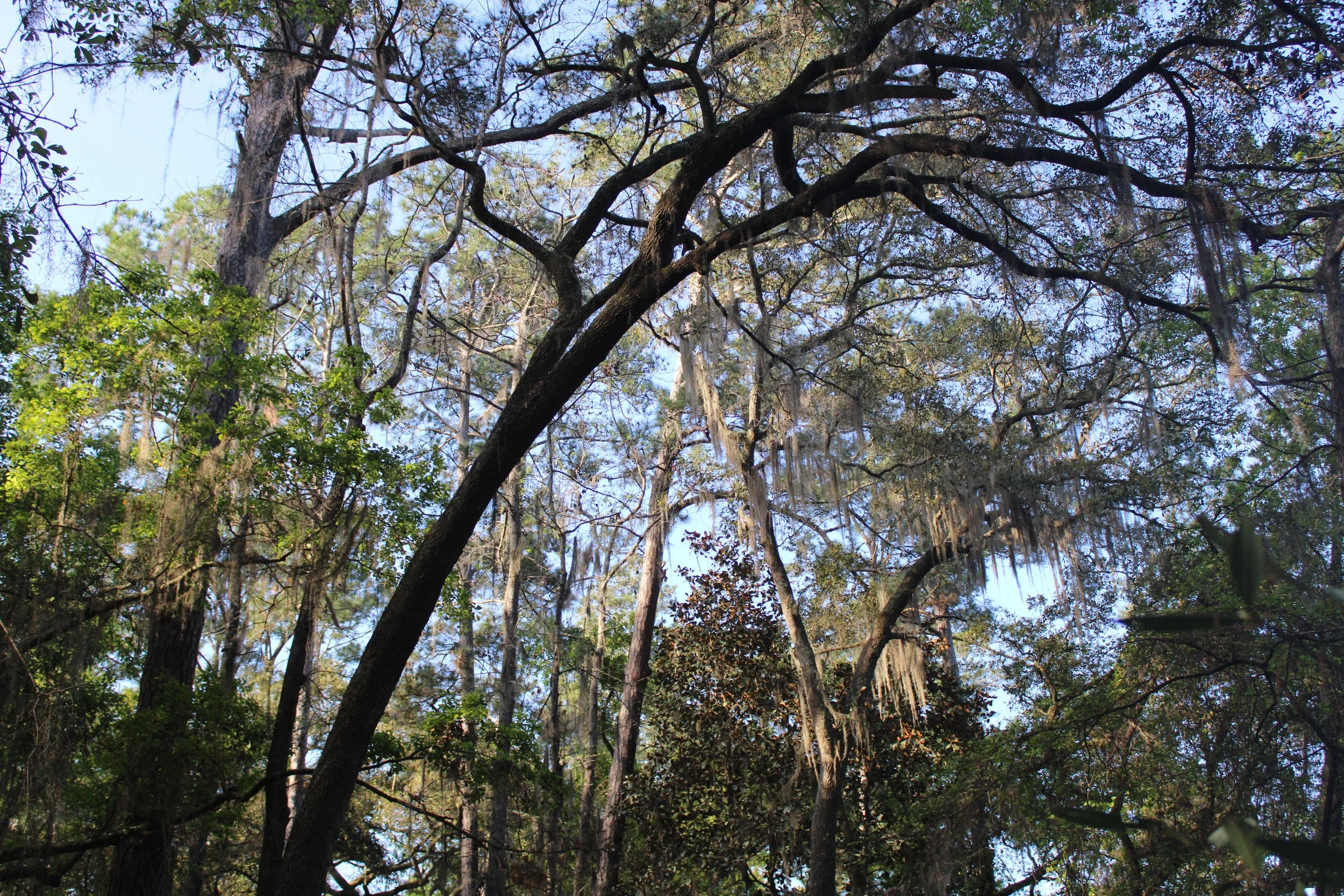 What I Do — Casey Clapp