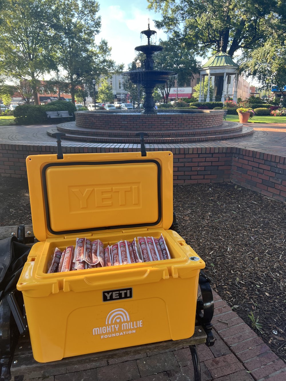 Popsicle Stands for Childhood Cancer — Mighty Millie