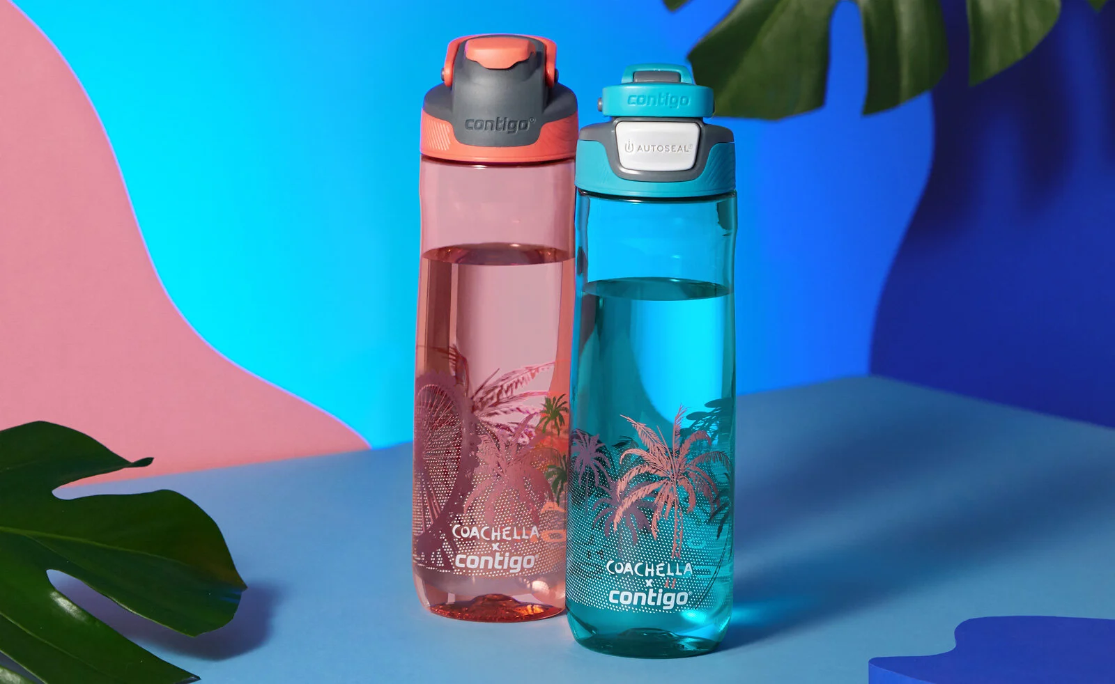 Contigo + Coachella — Carlie Design