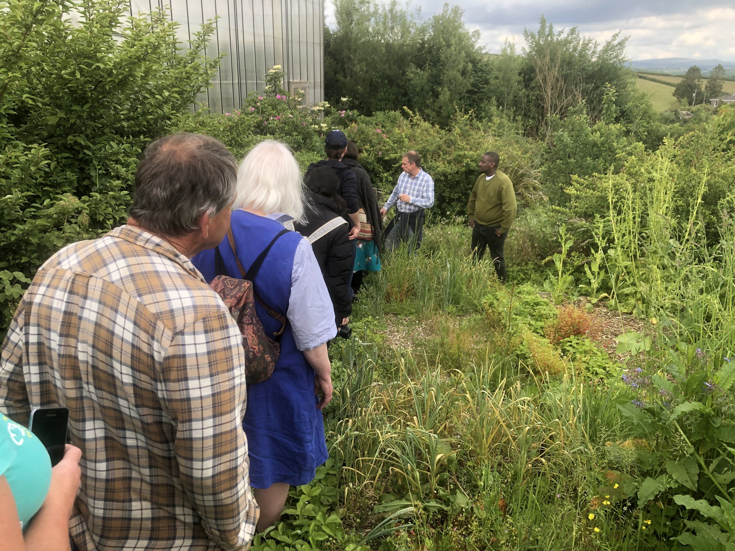 Visit Martin Crawford Forest Garden | Fasci Garden