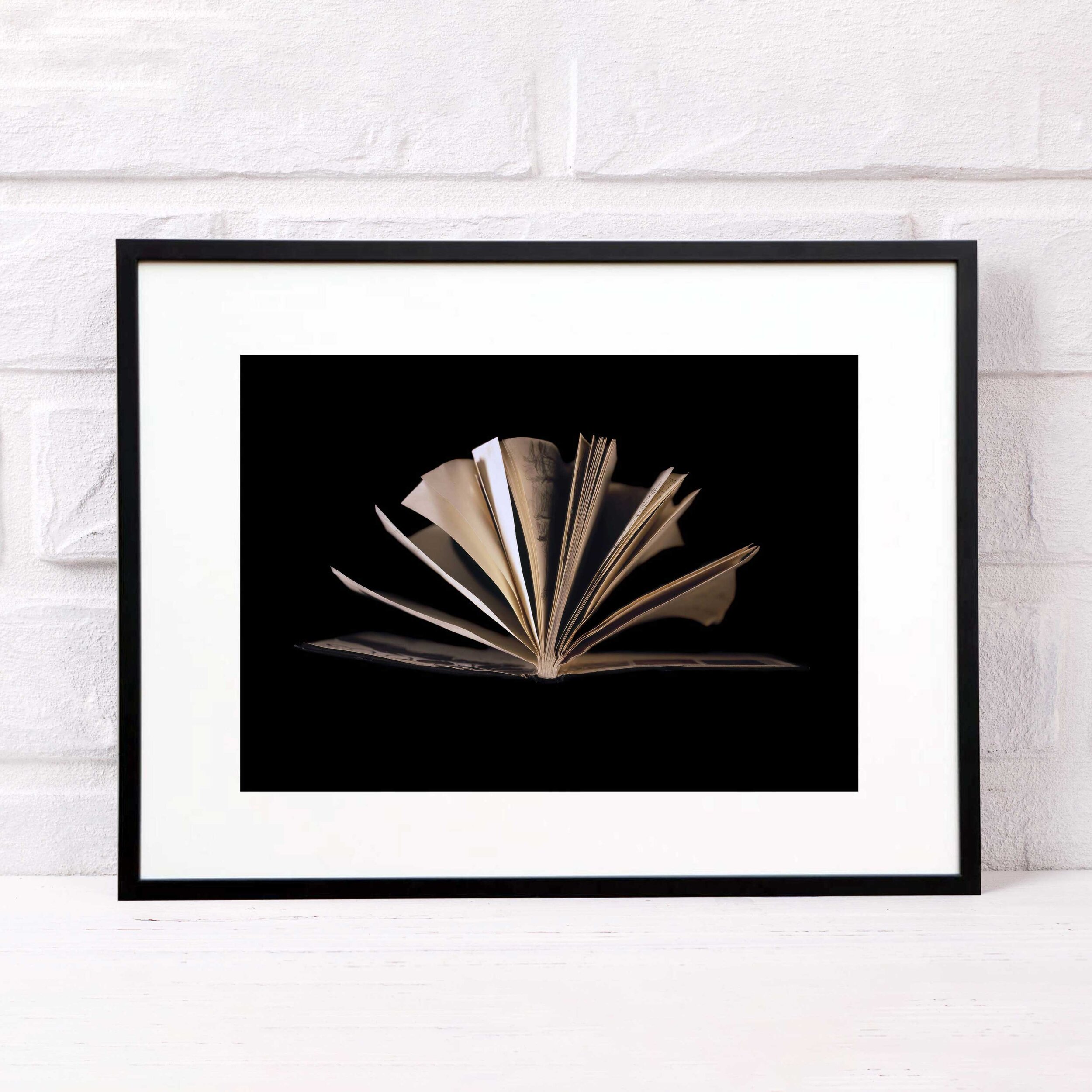 Collection — Art Untamed