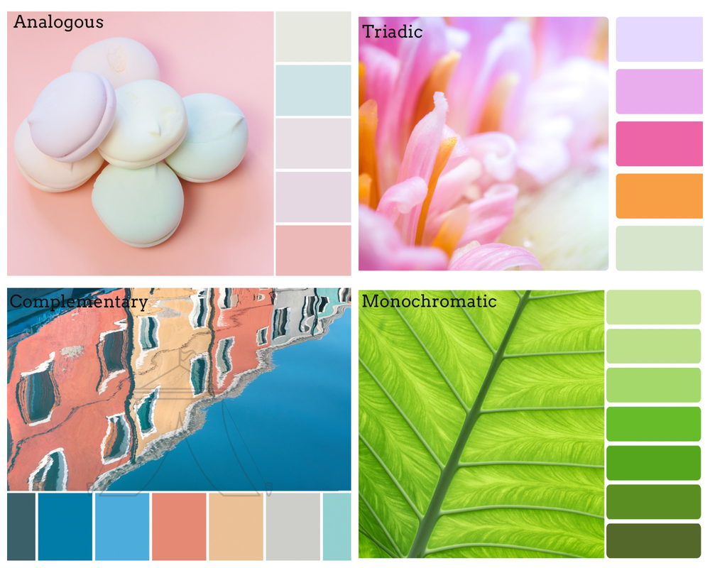 Color Theory in Design — Styled By Haylie