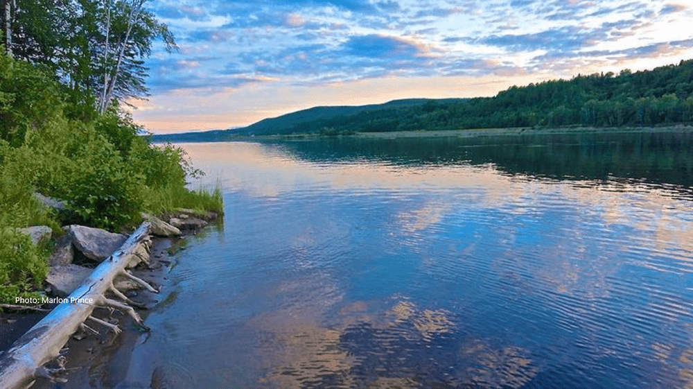 The St. John River Society