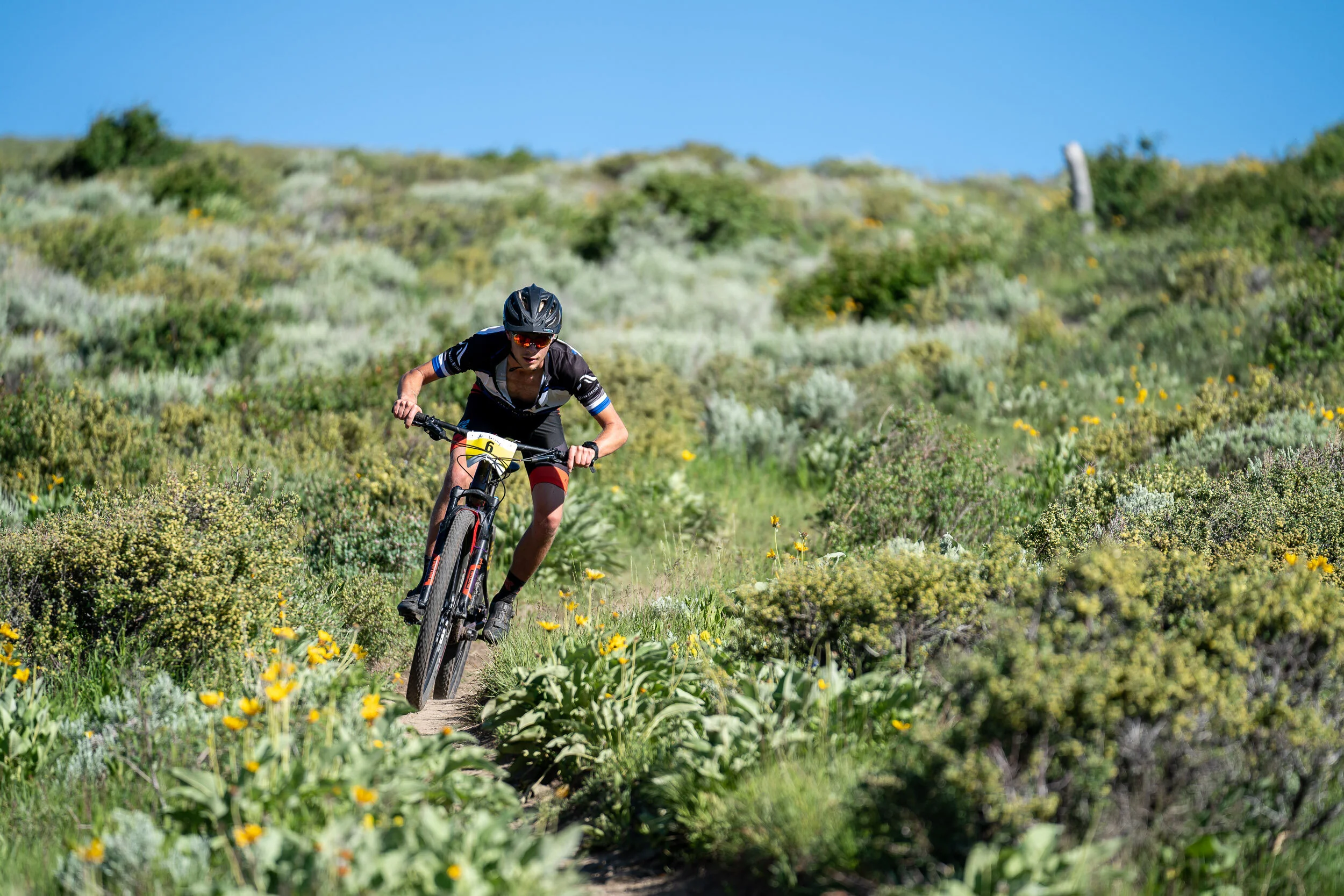 Mountain Bike The Tetons