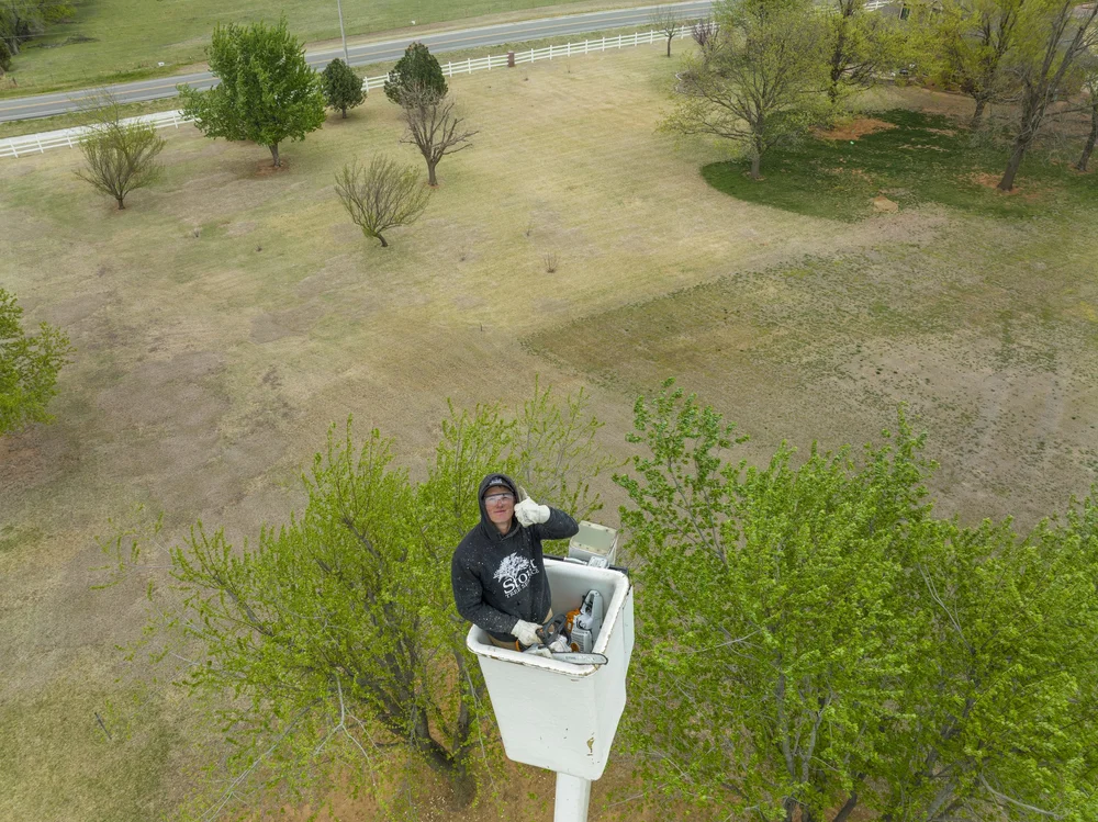 Stout Tree Service