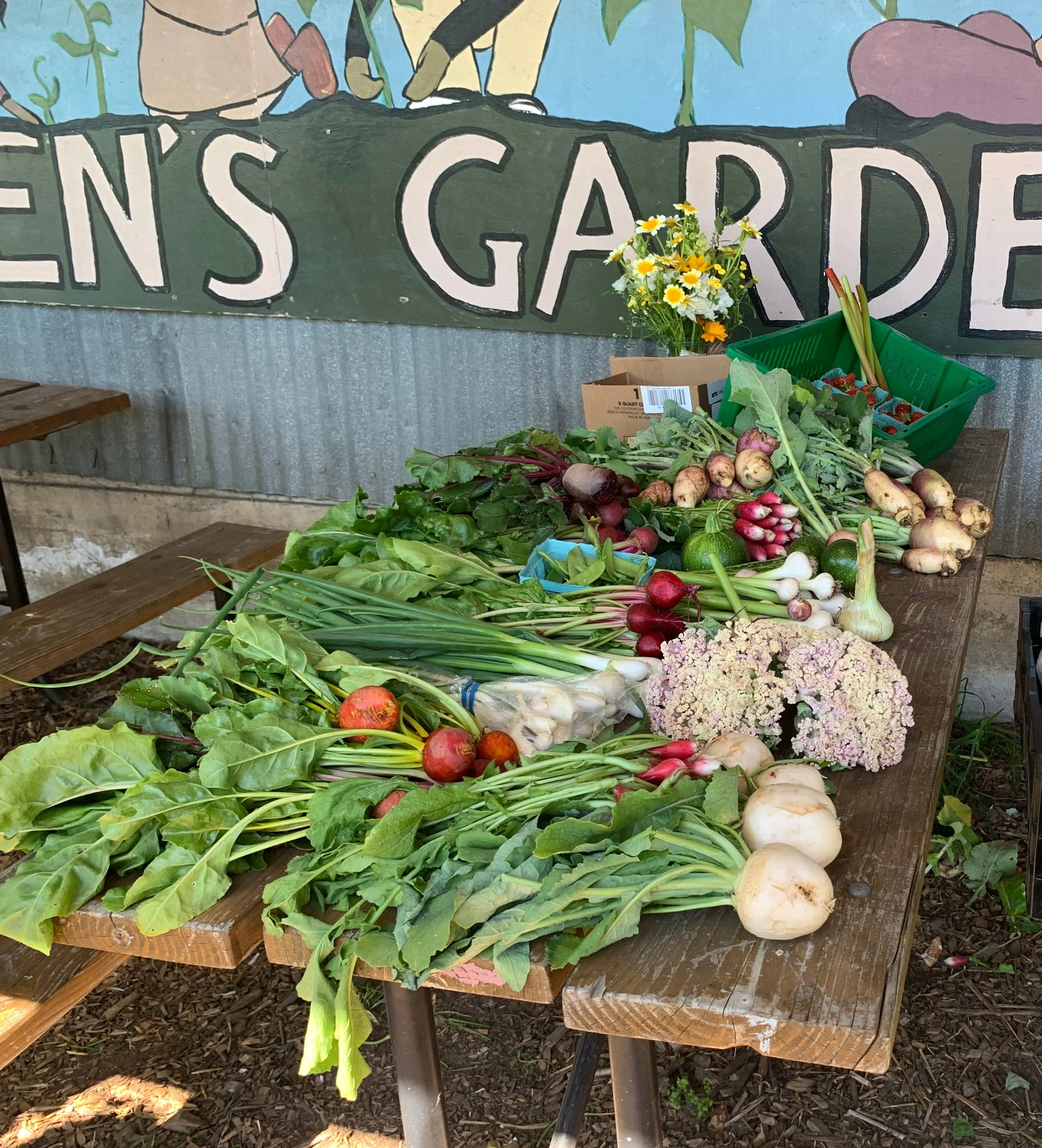 Harvest/Donation Program — Friends of Luscher Farm