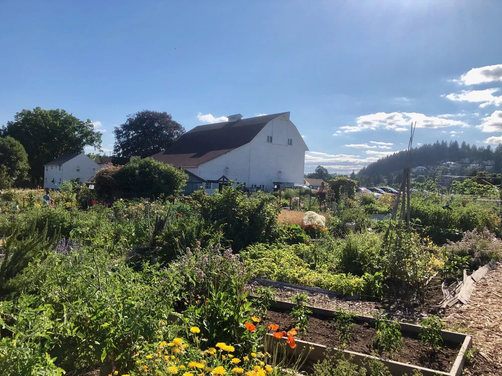 Friends of Luscher Farm