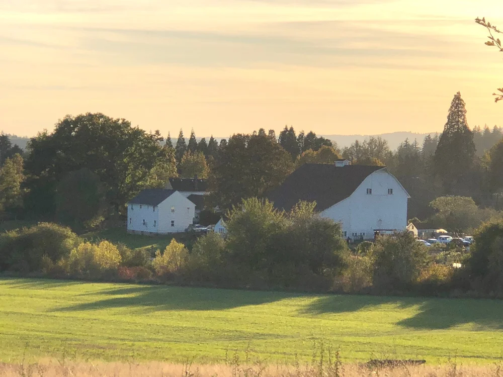 General 1 — Friends of Luscher Farm