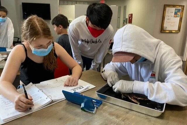 SALT Academy | Academics, Dyslexia Support & Experiential Learning ...