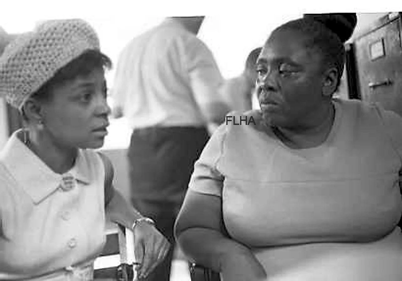 Fannie Lou Hamer's America