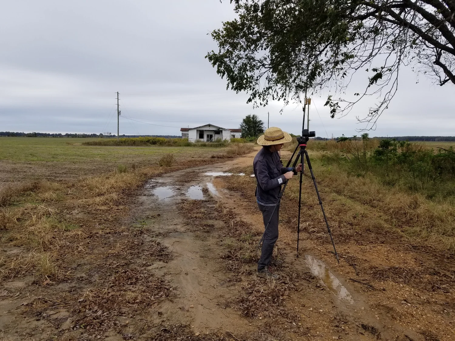 OUR STORY — Fannie Lou Hamer's America