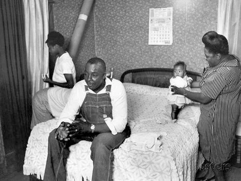 Hamer & Townsend Family Tree — Fannie Lou Hamer's America