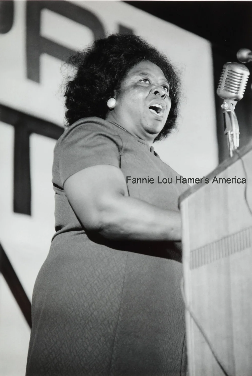 Fannie Lou Hamer Photos — Fannie Lou Hamer's America