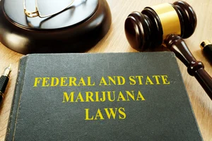 Legal Opinion and Memorandum RE: DEA Registration and 60-Day Deadline ...