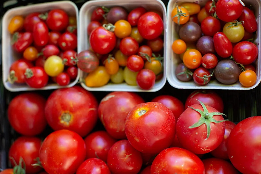 Rollin Root — Agricultural Institute of Marin