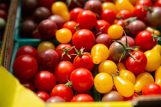 Farm Fresh Nutrition Access — Agricultural Institute of Marin