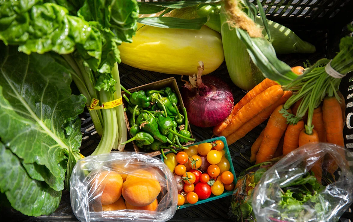 Farm Fresh Nutrition Access — Agricultural Institute of Marin