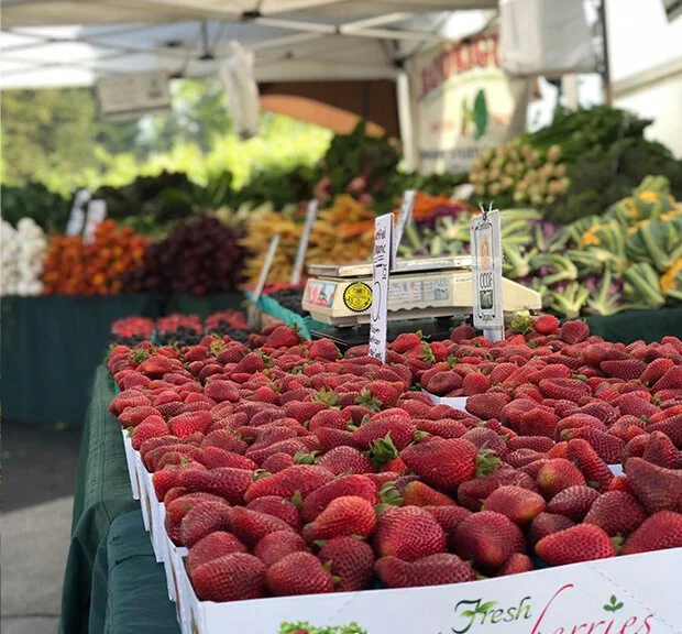 WIC Fruit and Vegetable Benefits — Agricultural Institute of Marin