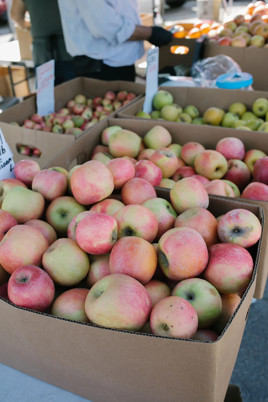 Agricultural Institute of Marin | Champions for Farmers, Food Access, and Education across the ...