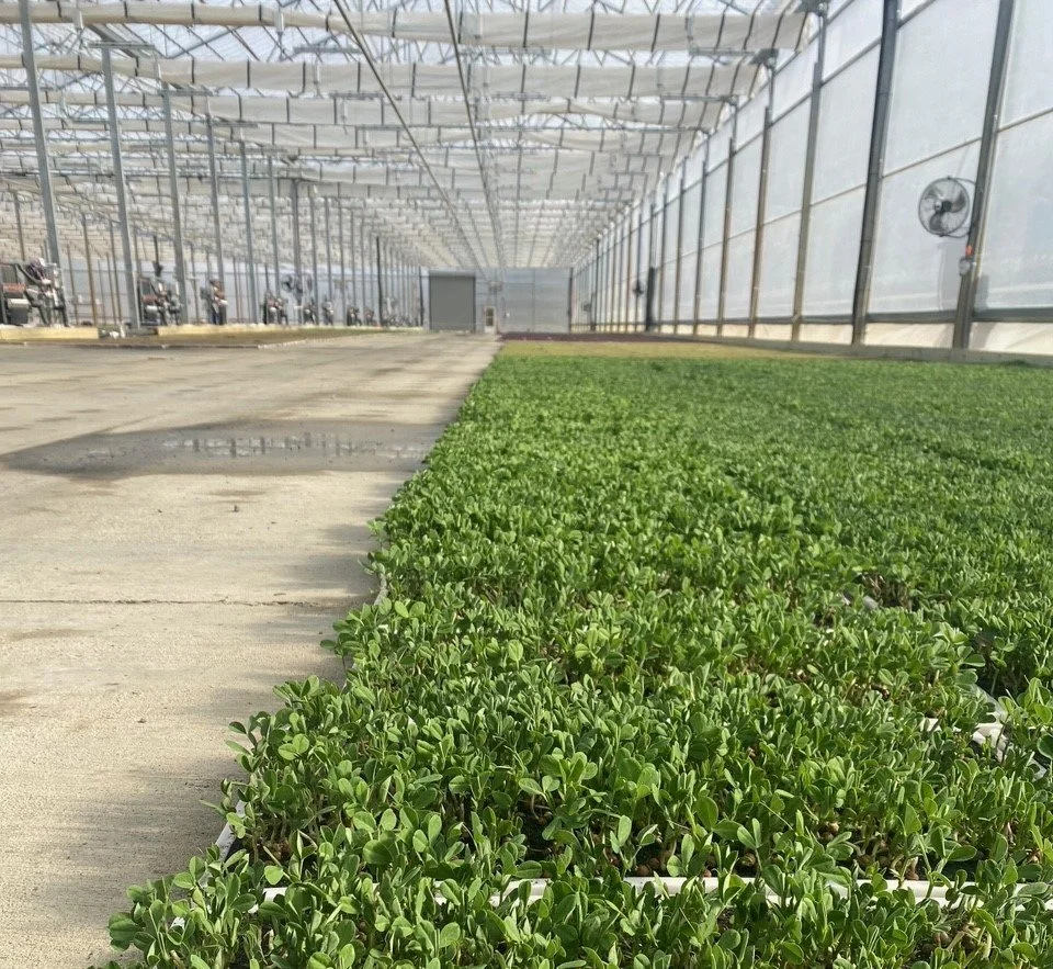 Sustain SC Members Empower Local Farm to Surpass Sustainability ...