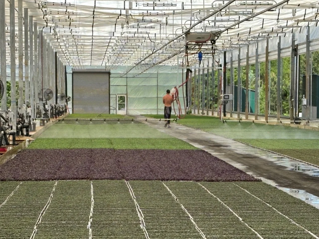 Sustain SC Members Empower Local Farm to Surpass Sustainability ...