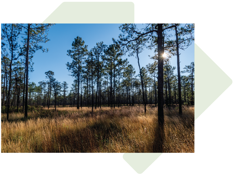 Land and Water Action Platform — Sustain SC