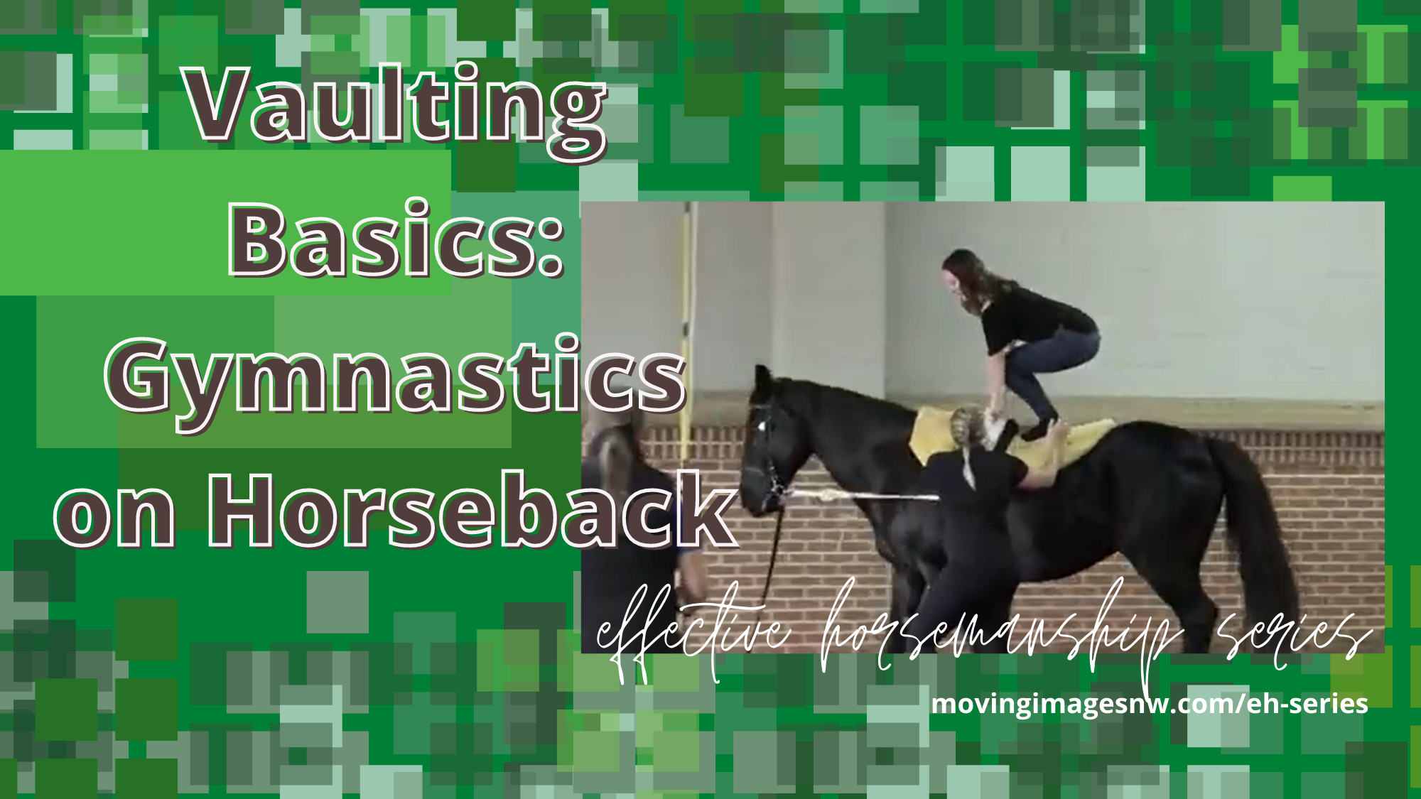 Effective Horsemanship Series — MovingImagesNW