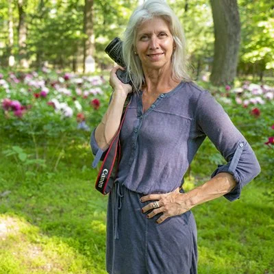 Peony's Envy - Herbaceous, Intersectional, Tree & Woodland Peony ...