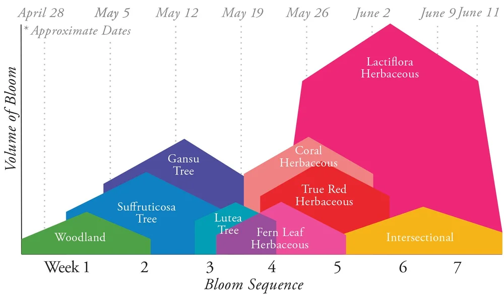 Garden Design and Peony Planting — Peony's Envy